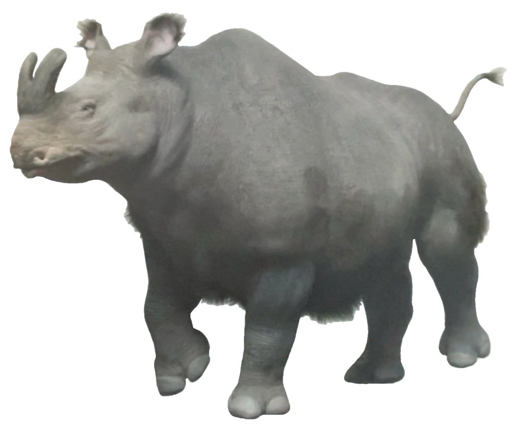 Brontotherium | The Ultimate Dinopedia Wiki | Fandom