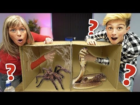 What's in the BOX Challenge!!!!!!! (ANIMALS) | The ultimate morgz Wiki ...