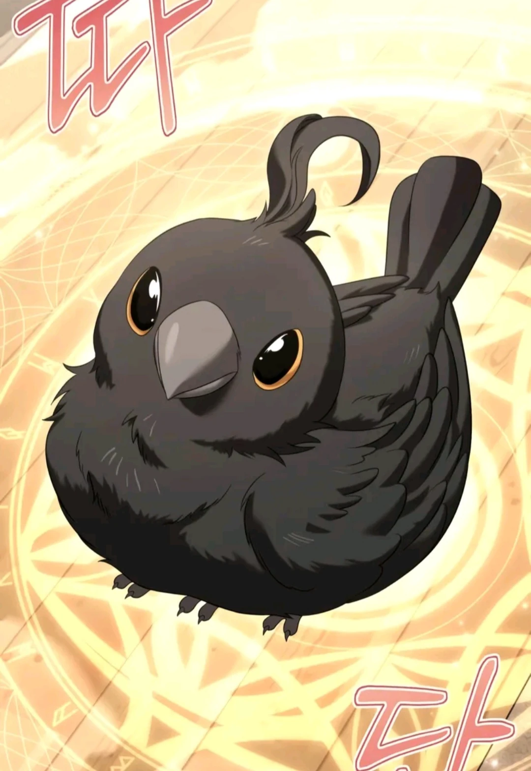 Kkami | The Ultimate Shut-In Wiki | Fandom