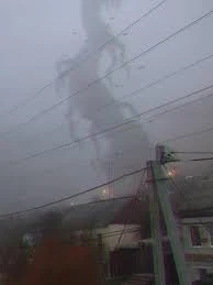 Body Worm/ Big Branch | The Ultimate Trevor Henderson Creature Wiki ...