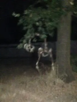 Clockwise Jack | The Ultimate Trevor Henderson Creature Wiki | Fandom