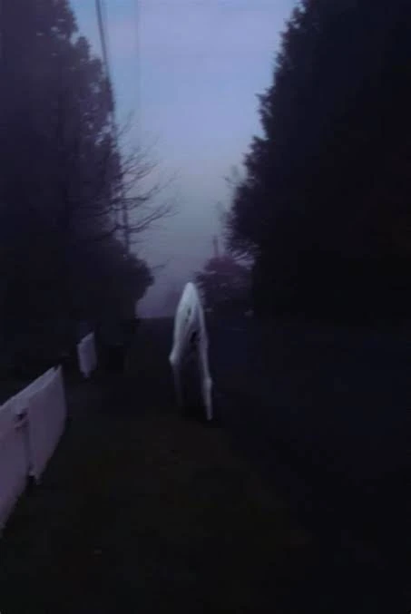 Fresno Night Crawlers/ The Follower | The Ultimate Trevor Henderson ...