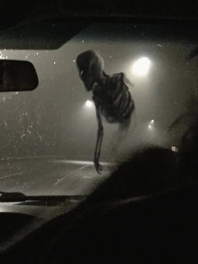 A Curious Shape | The Ultimate Trevor Henderson Creature Wiki | Fandom