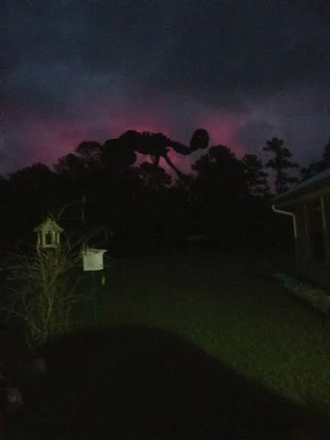 Phasing Giant/Red | The Ultimate Trevor Henderson Creature Wiki | Fandom