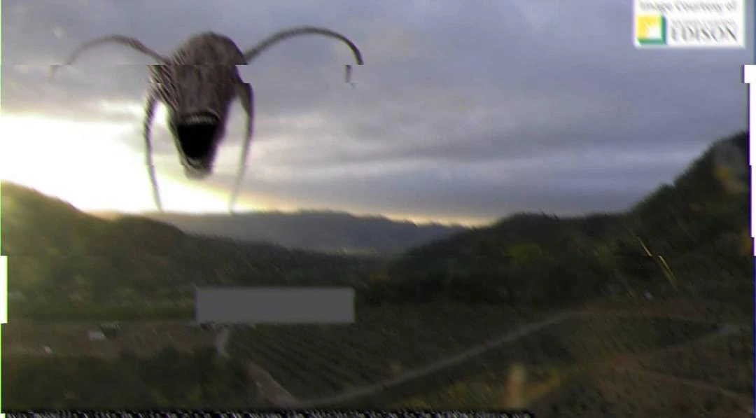 The Mountain Eater | The Ultimate Trevor Henderson Creature Wiki | Fandom