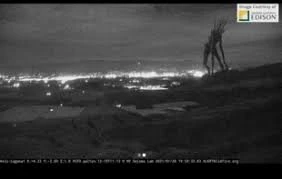 Root Head | The Ultimate Trevor Henderson Creature Wiki | Fandom