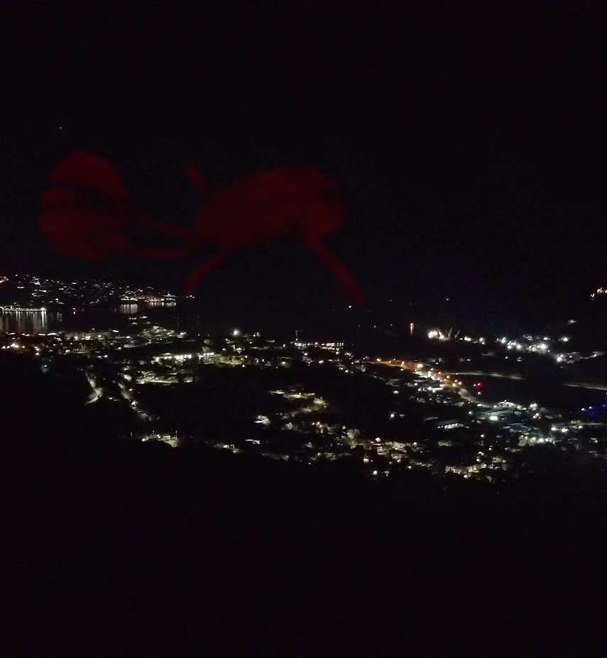 Doom crab | The Ultimate Trevor Henderson Creature Wiki | Fandom