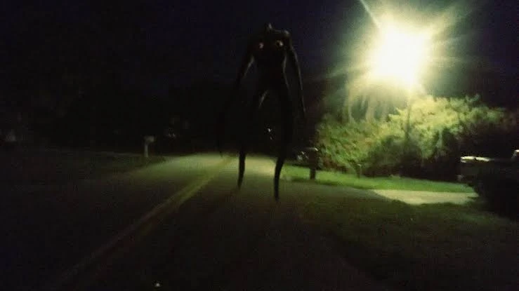 The Night Walk | The Ultimate Trevor Henderson Creature Wiki | Fandom