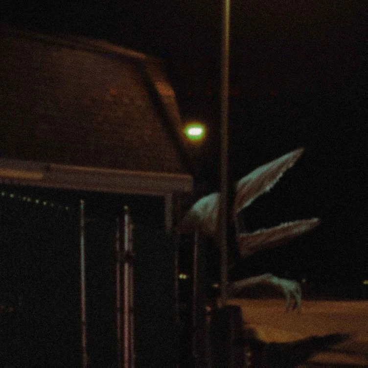 Dumpster Boy/ Scissors Fairy | The Ultimate Trevor Henderson Creature ...