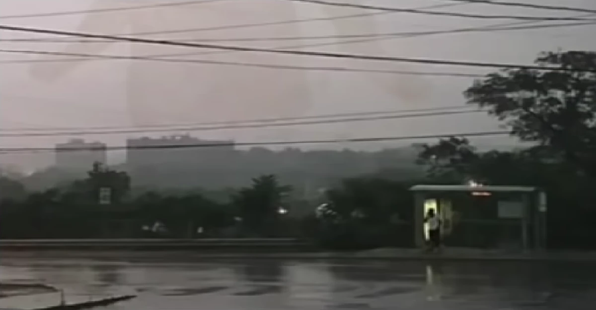 Fog Giant | The Ultimate Trevor Henderson Creature Wiki | Fandom