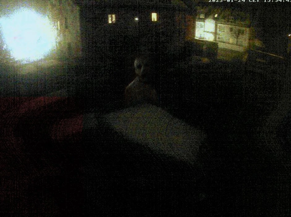 The Hiding Man | The Ultimate Trevor Henderson Creature Wiki | Fandom