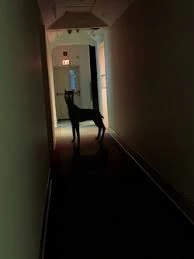 Good Boy | The Ultimate Trevor Henderson Creature Wiki | Fandom