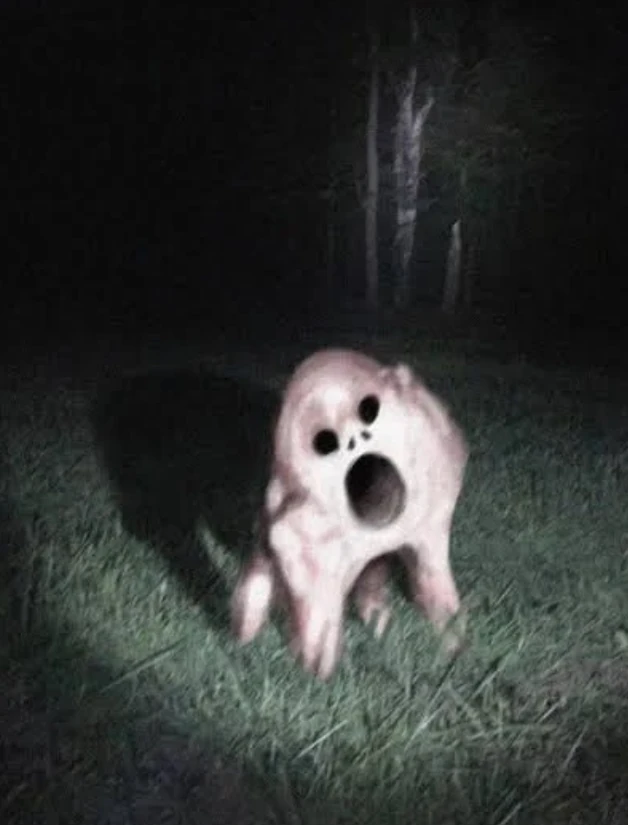 The Stalking Dwarf/Pig Creature | The Ultimate Trevor Henderson ...