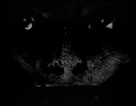 Phase 175 (Gold XD) | The Uncanny Incredible: Deluxe Wiki | Fandom