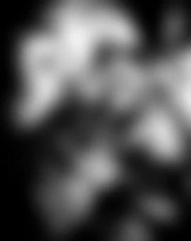 Phase 35 (Phoenix) | The Uncanny Incredible: Deluxe Wiki | Fandom