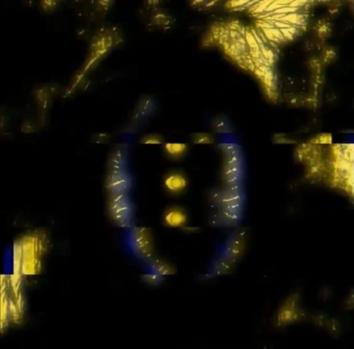 Phase 271 (Gold XD's Template) | The Uncanny Incredible Wiki | Fandom