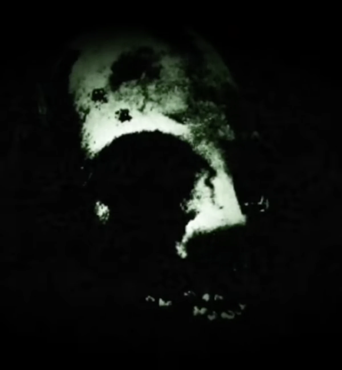 Phase 195 (KunaProductions) | The Uncanny Incredible Wiki | Fandom