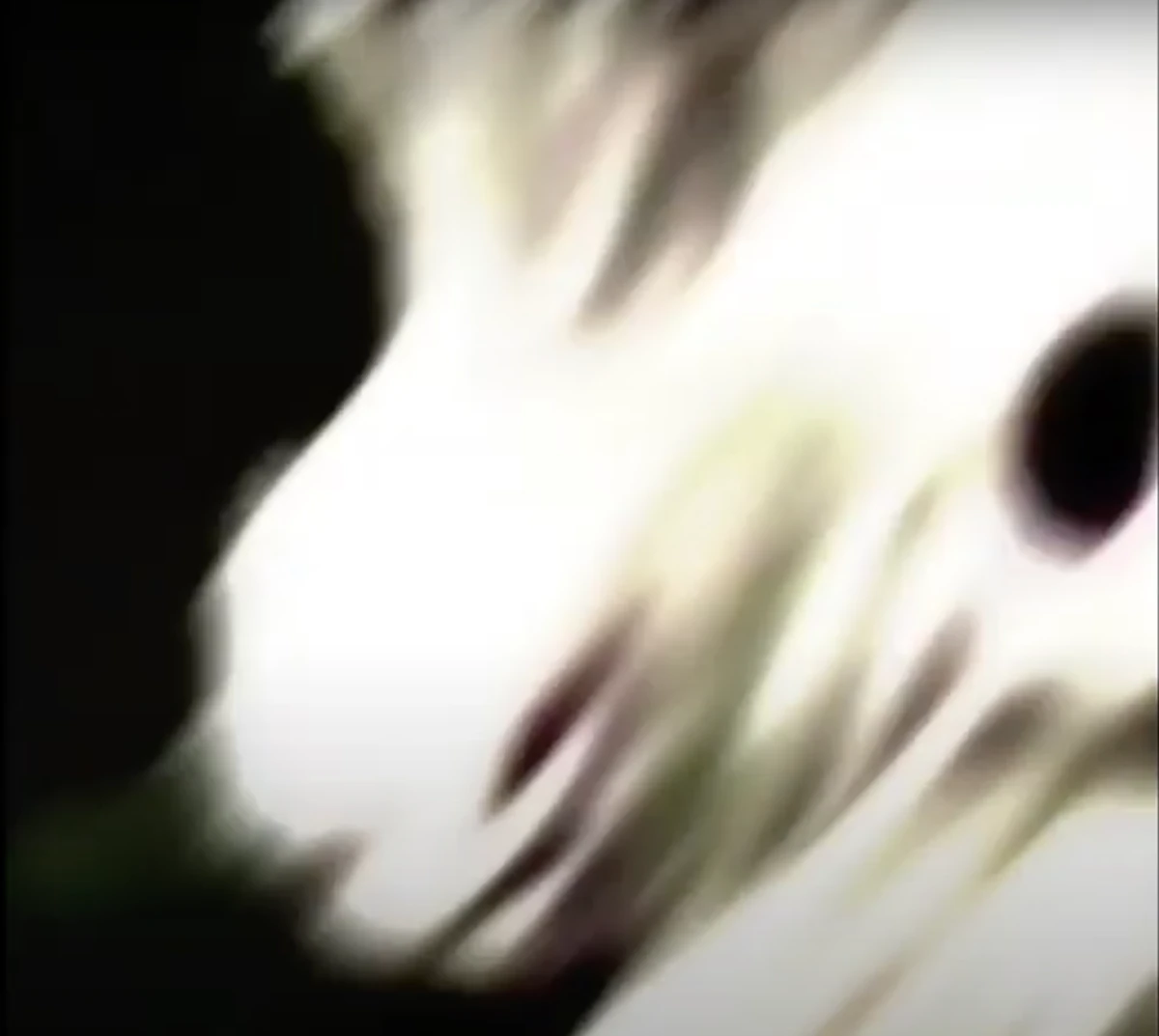 Phase 991 (TIPMVM1632) | The Uncanny Incredible Wiki | Fandom