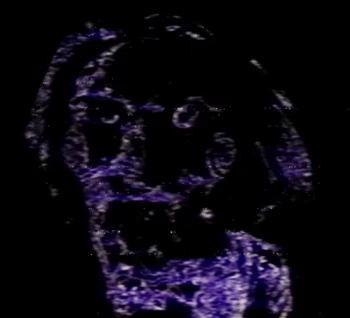 Phase 84 (The CJ Planets) | The Uncanny Incredible Wiki | Fandom