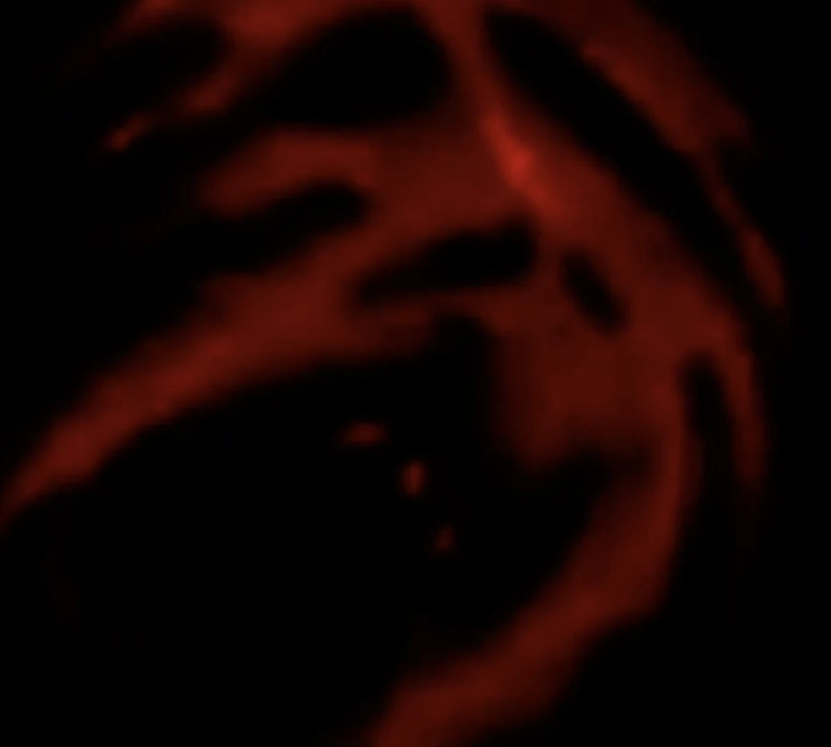 Phase 189 (Stist)/Phase 771 (Gatozerounvalley) | The Uncanny Incredible ...