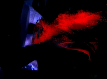 Phase 35/38 (Phoenix)/Gallery | The Uncanny Incredible Wiki | Fandom