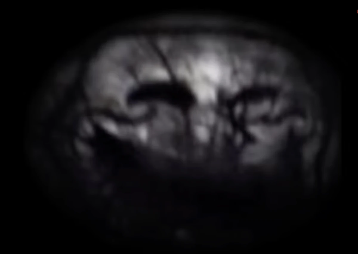 Phase 183 (KunaProductions) | The Uncanny Incredible Wiki | Fandom