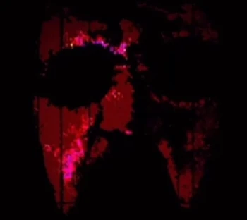 Phase 181 (Verstörend Studios) | The Uncanny Incredible Wiki | Fandom