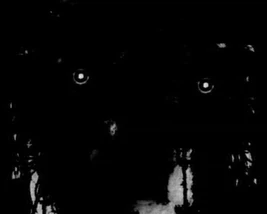 Phase 51 (The CJ Planets) | The Uncanny Incredible Wiki | Fandom