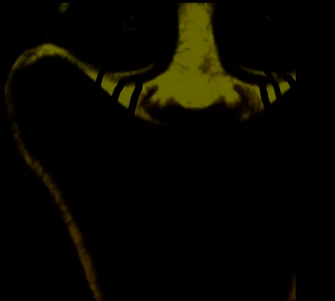 Phase 14/Gallery | The Uncanny Incredible Wiki | Fandom