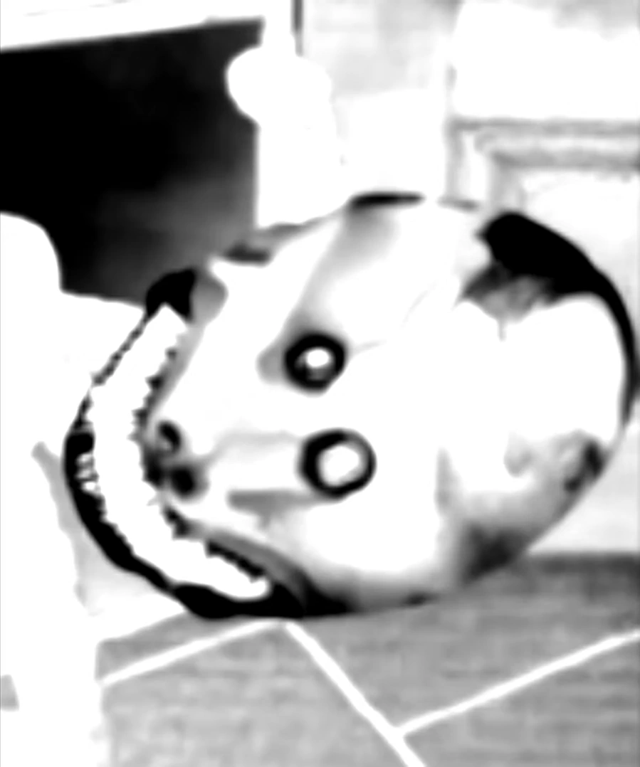 Phase 34 (DusttaleImpostor/FreakyHellStudios) | Wiki The Uncanny ...