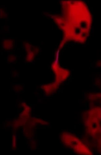 Phase 190 (The CJ Planets) | The Uncanny Incredible Wiki | Fandom