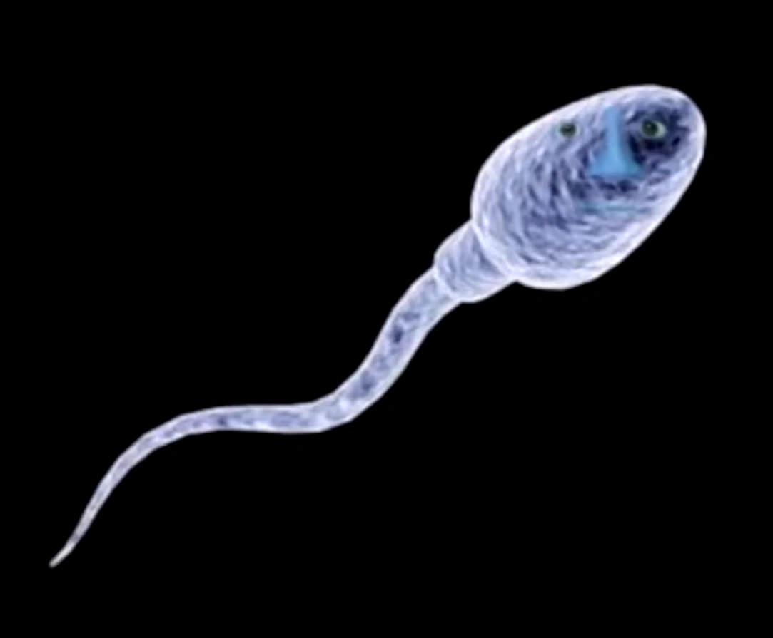 Old Phase -2 (Brunch) | The Uncanny Incredible Wiki | Fandom