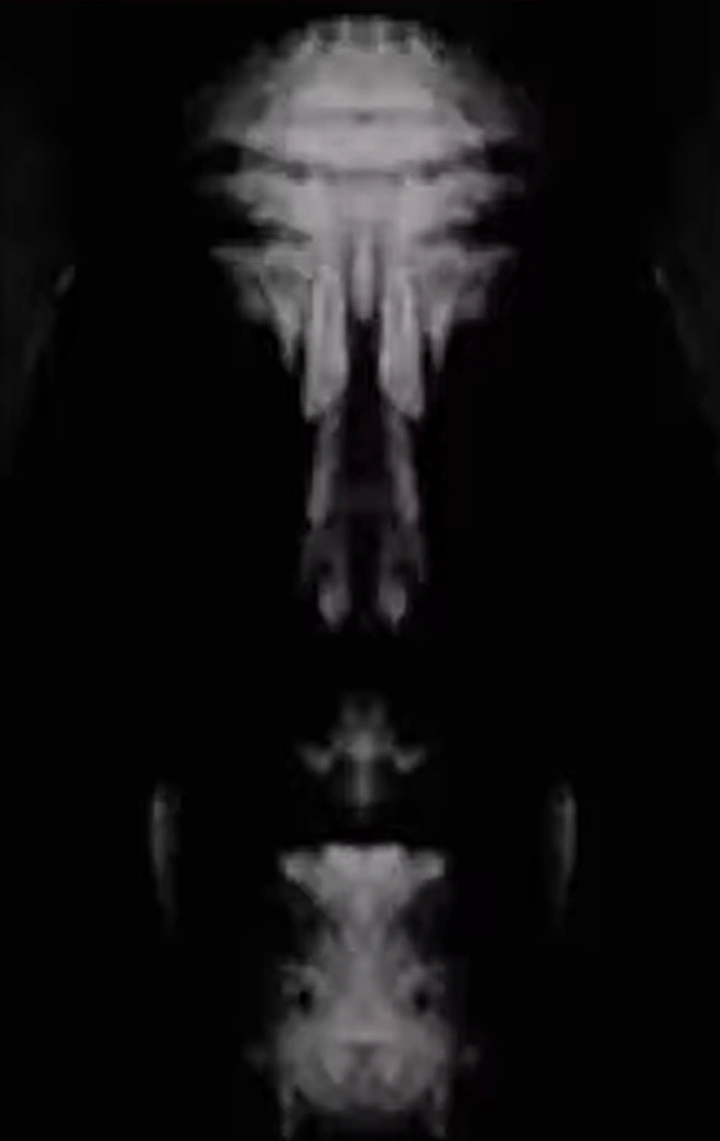 Phase 8.37 (MexicoEmpireFOREVER) | The Uncanny Incredible Wiki | Fandom