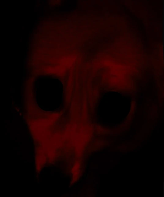 Phase 1000 Ksjwjaiqbq The Uncanny Incredible Wiki Fandom