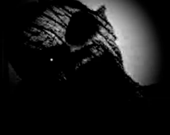 Phase 178 (Gold XD) | The Uncanny Incredible Wiki | Fandom