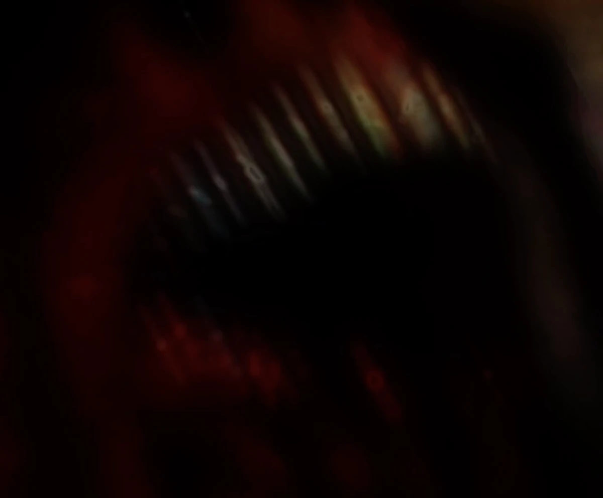 Phase 143 (E-150)/Phase 982 (TIPMVM1632)/Phase 1043 (DisturbingUncanny ...