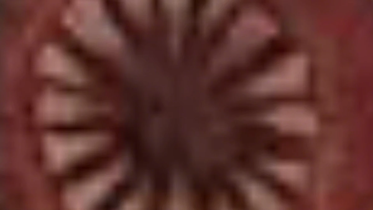 Phase 254 (Toadman1061) | The Uncanny Incredible Wiki | Fandom