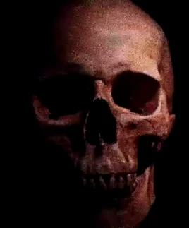 Brown Skull Phase (Homelessville Productions) | The Uncanny Incredible ...