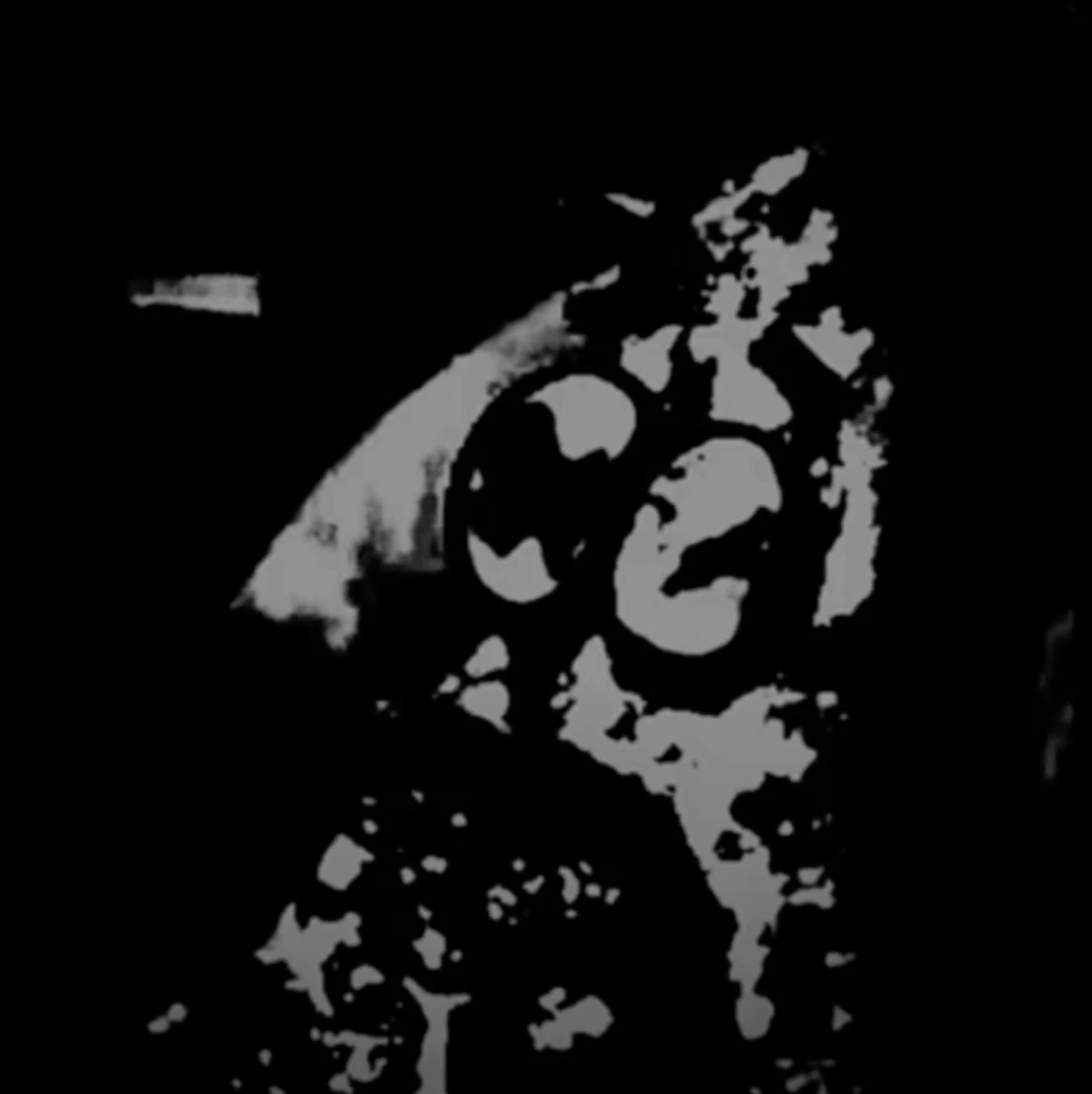 Patrick Phase (Slaughterhouse) | The Uncanny Incredible Wiki | Fandom