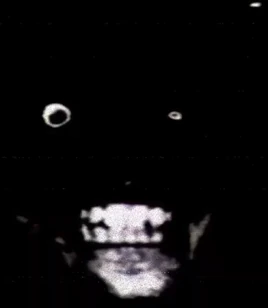 Phase 29 (Phoenix) | The Uncanny Incredible Wiki | Fandom