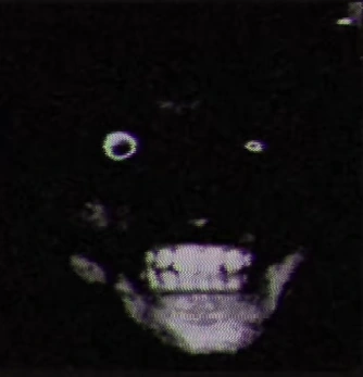 Phase 29 (Phoenix) | Wiki The Uncanny Incredible | Fandom