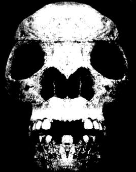 Phase 204 (Gold XD) | The Uncanny Incredible Wiki | Fandom