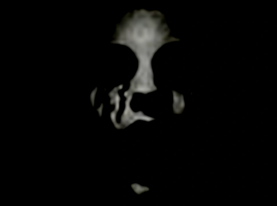 Phase 221 (MIBU 250 Phases) | The Uncanny Incredible Wiki | Fandom