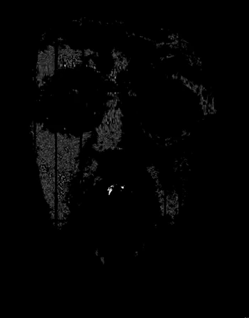 Phase 114 Subphases (carlos the youtuber) | The Uncanny Incredible Wiki ...