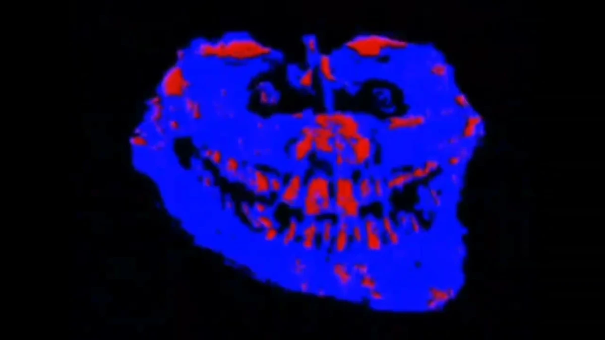 Purple Trollface Phonk (Homelessville Productions) | The Uncanny ...