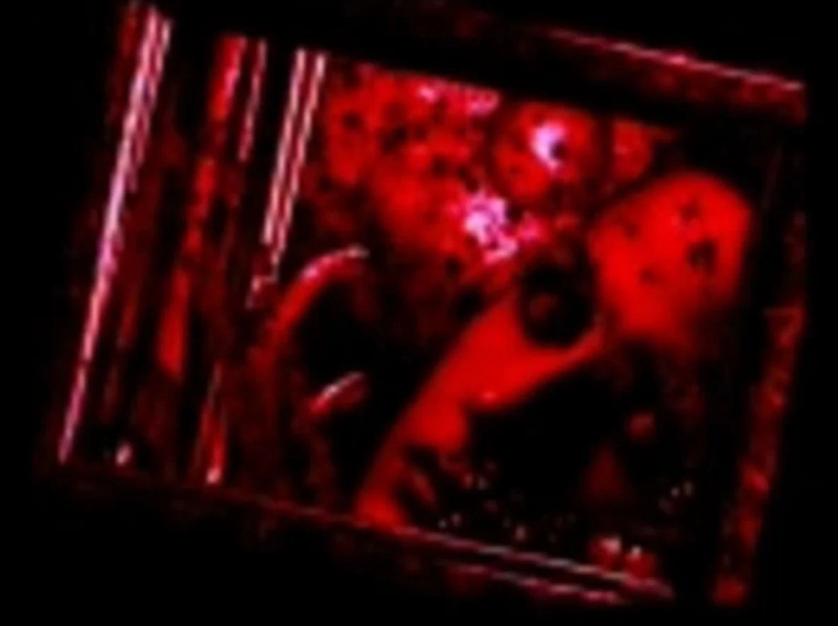 Phase 162 (Susana Saavedra) | The Uncanny Incredible Wiki | Fandom