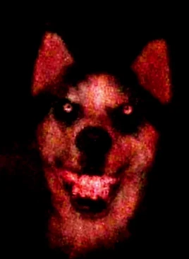 Phase 201.1, Phase 201.2/153 and Phase 201.3 (Gold XD/MrPenwell) | The ...