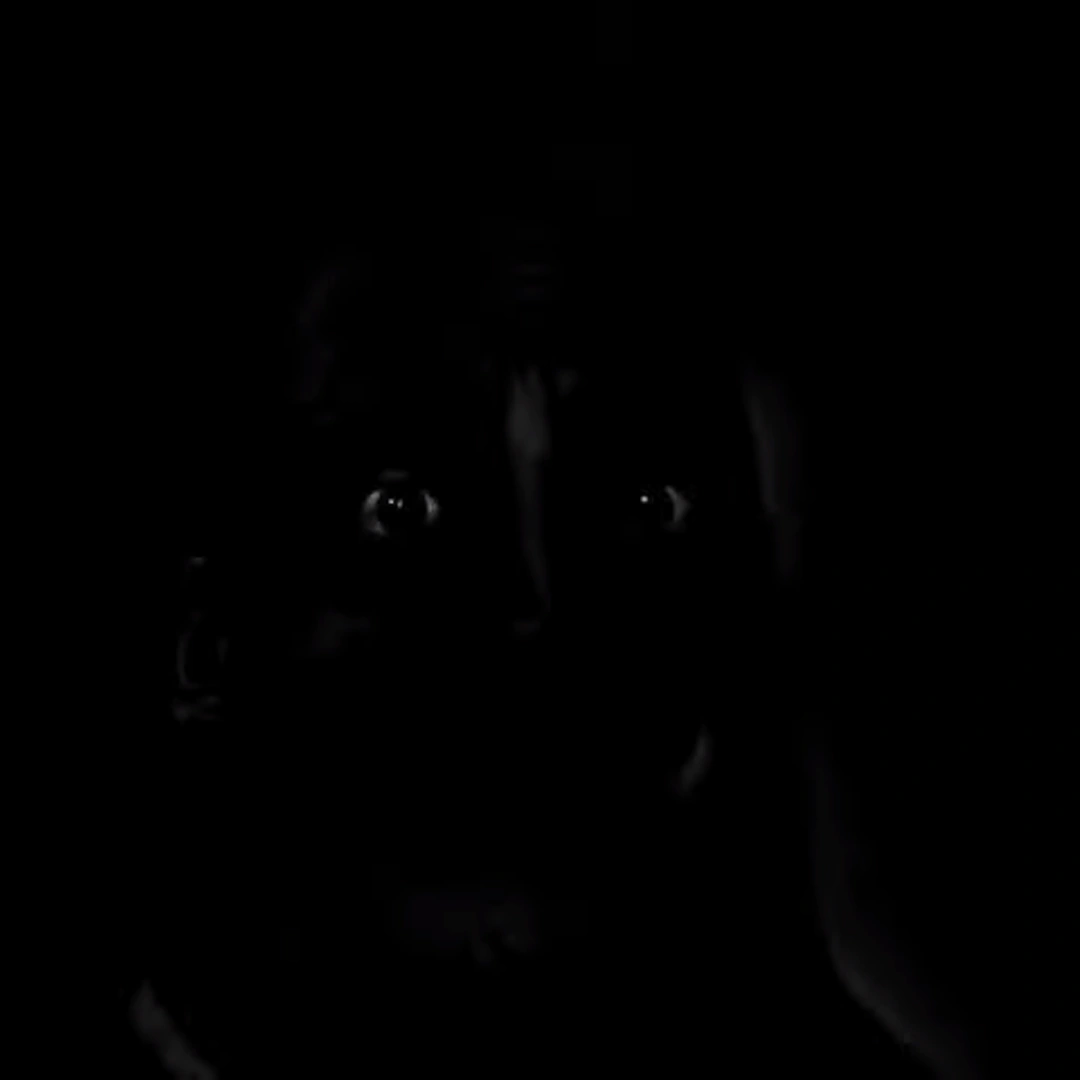 Phase 9.5 (Bannekaze) | The Uncanny Incredible Wiki | Fandom