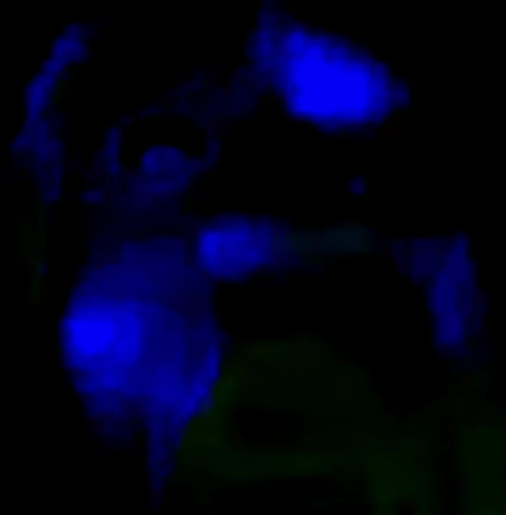 Phase 260 (Gold XD) | The Uncanny Incredible Wiki | Fandom