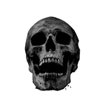 Phase 9/Gallery | The Uncanny Incredible Wiki | Fandom
